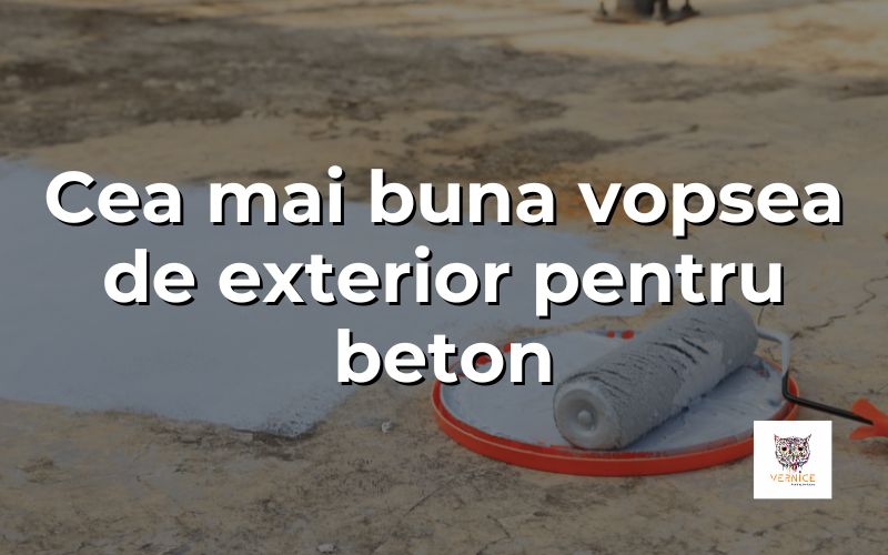 Cauti cea mai buna vopsea de exterior pentru beton? – VERNICE